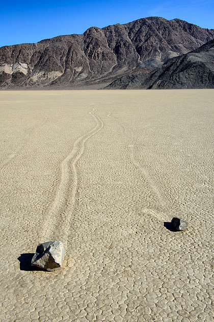 Jorn Vangoidtsenhoven Wildlife and Nature Photography | Solving the ...